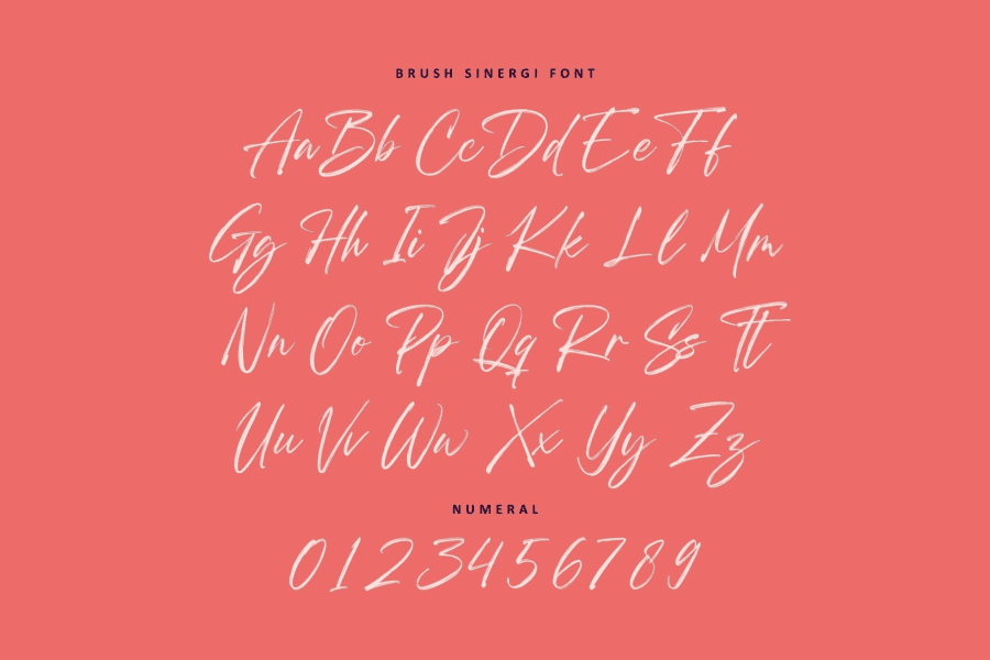 Brush Sinergi Font · 1001 Fonts