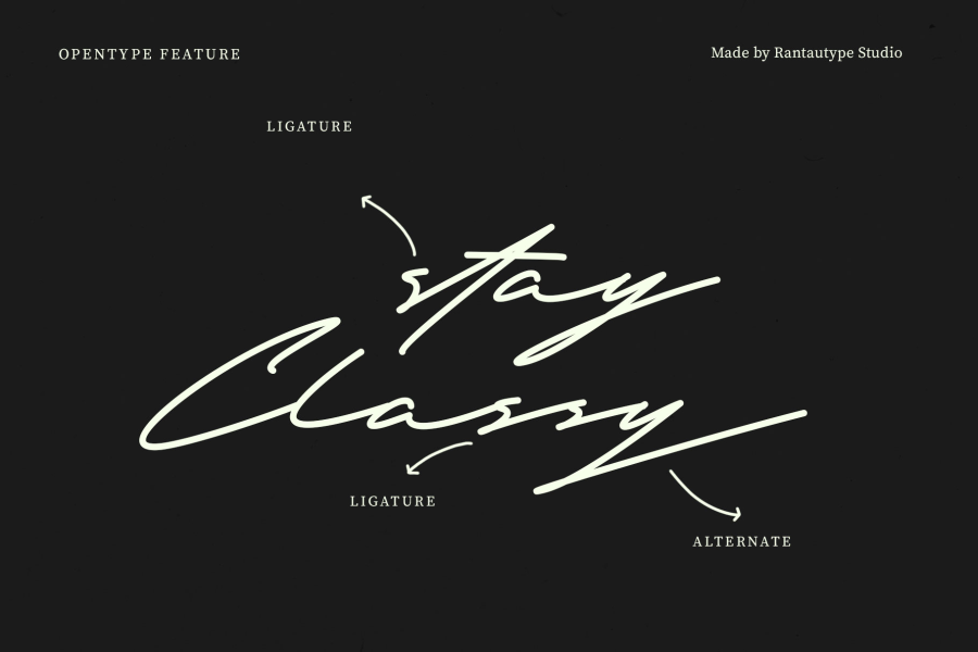 Bryan Richard Font · 1001 Fonts