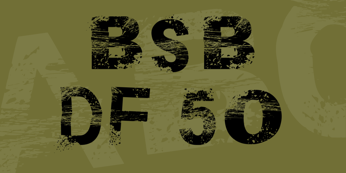 BSB DF 50 Font · 1001 Fonts