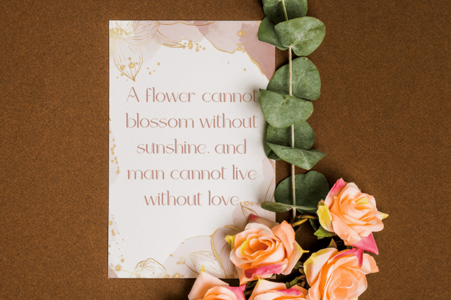 Bucket Flower Demo Font · 1001 Fonts