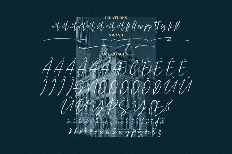 Buffalo City Font Family · 1001 Fonts