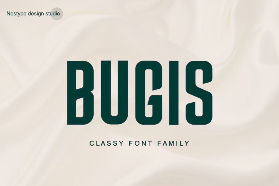 Bugis Classy Modern Font Font · 1001 Fonts