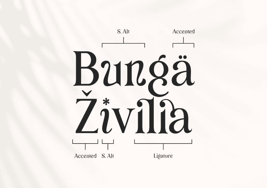 Bunga Zivilia Font · 1001 Fonts