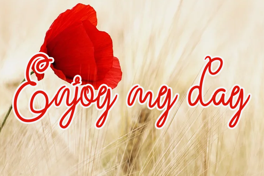 6 Free Extra Large Capitals, Handlettering, Holiday Fonts · 1001 Fonts