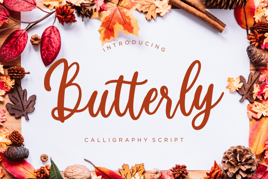 Butterly Font · 1001 Fonts