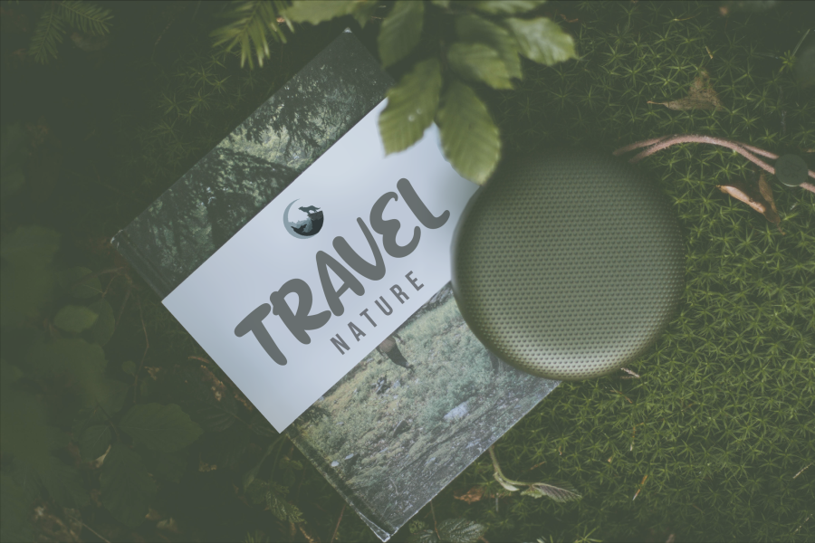 Buttgi Font · 1001 Fonts