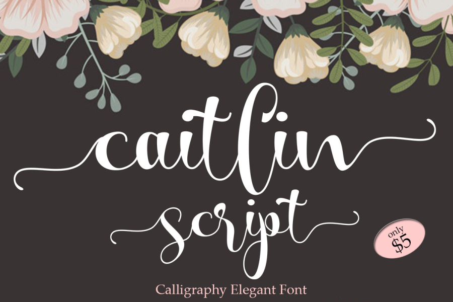 Caitlin Script Font · 1001 Fonts