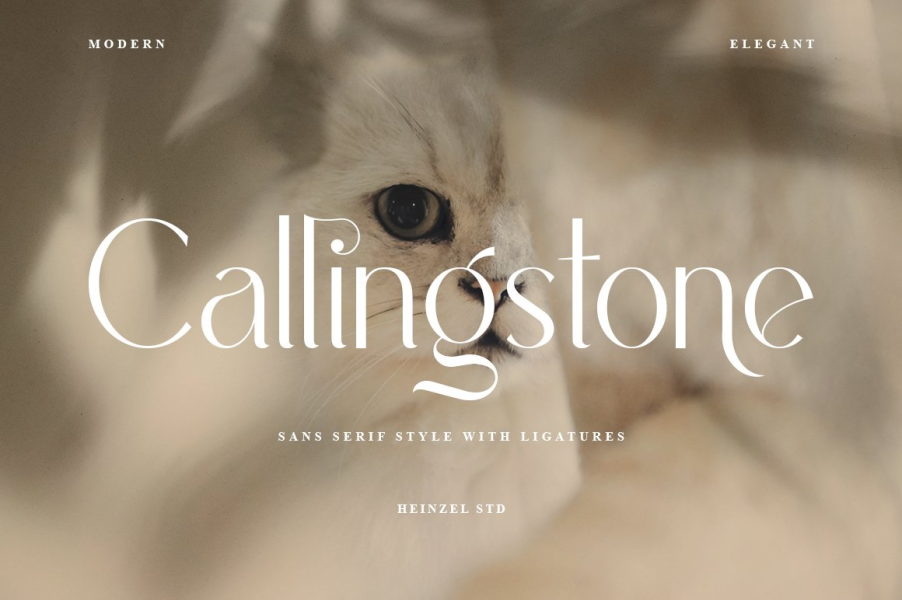Callingstone Font · 1001 Fonts
