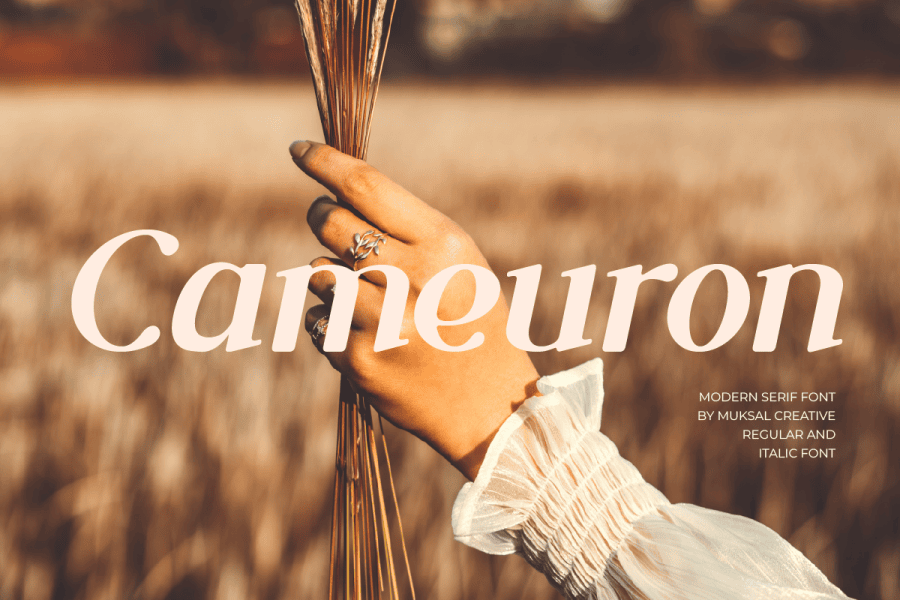 Cameuron Font Family · 1001 Fonts