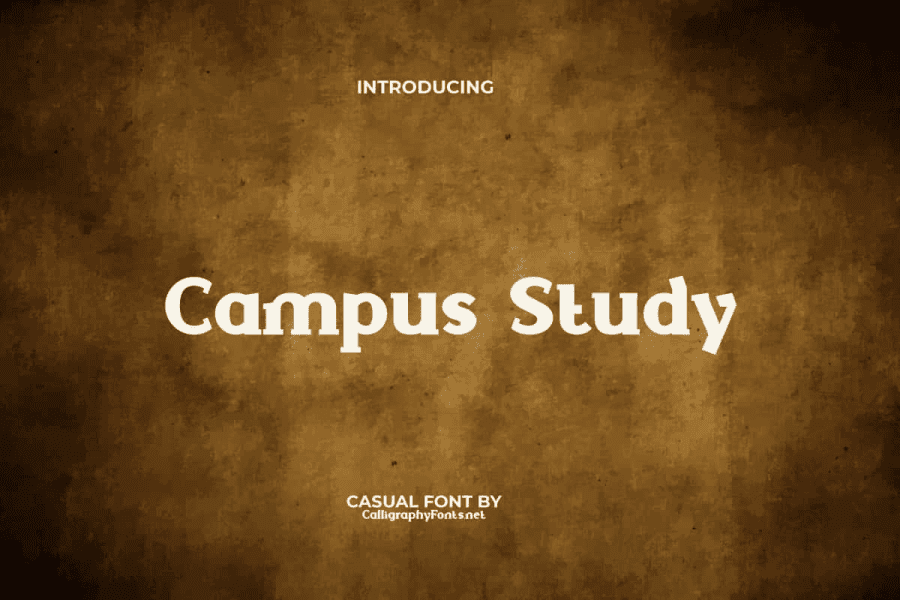 CampusStudyDemo Font · 1001 Fonts
