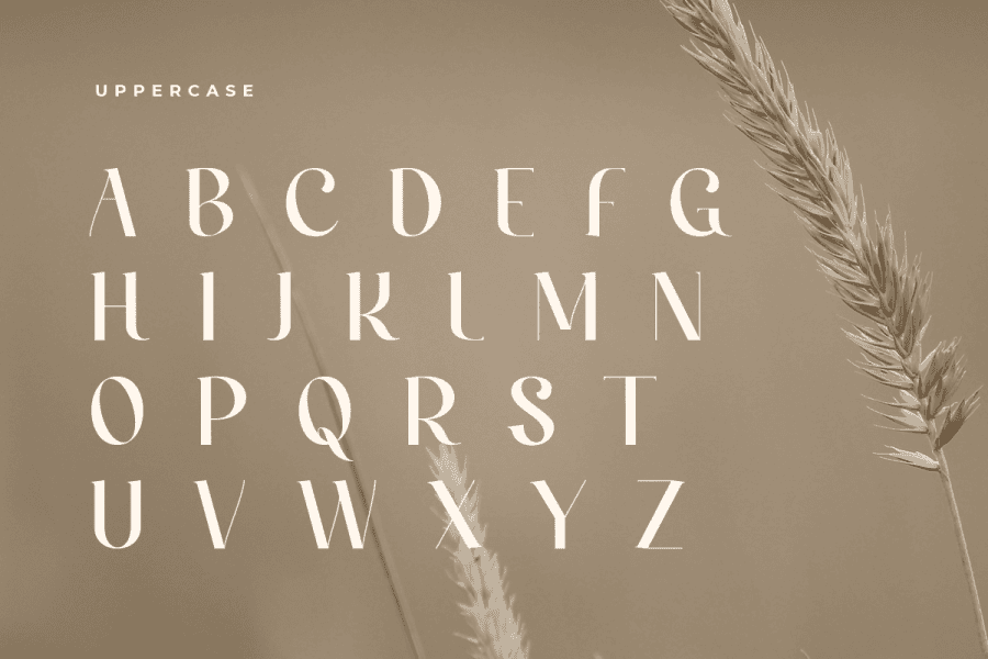 Caramel Font · 1001 Fonts