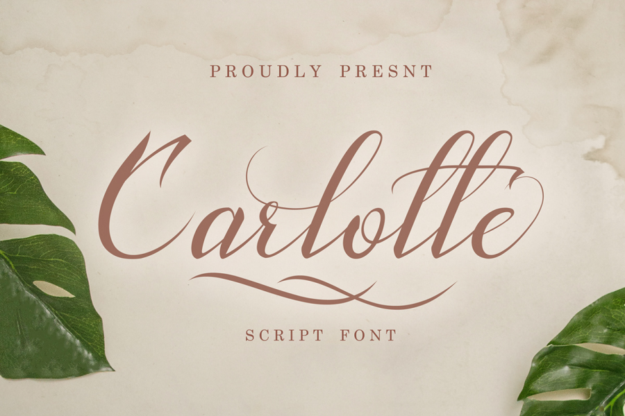 Carlotte Font · 1001 Fonts