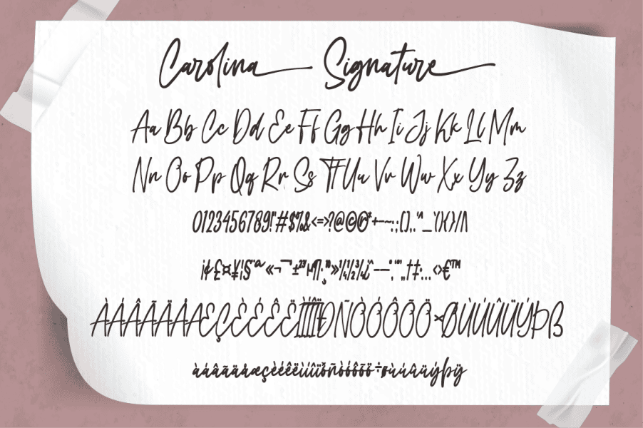 Carolina Signature Font · 1001 Fonts