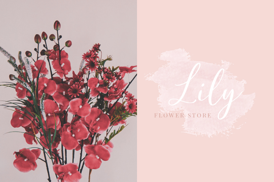 Caroline Font · 1001 Fonts