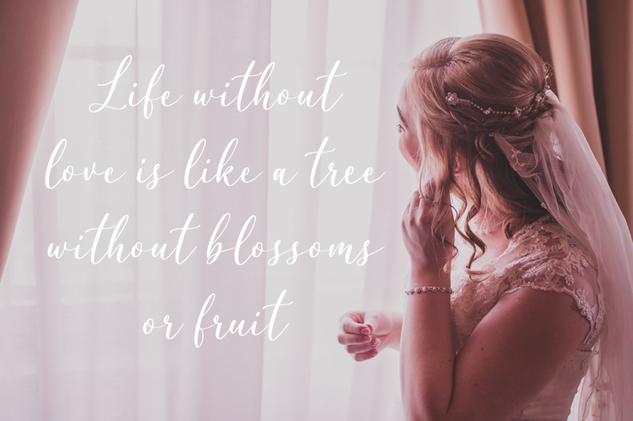 Caroline Font · 1001 Fonts