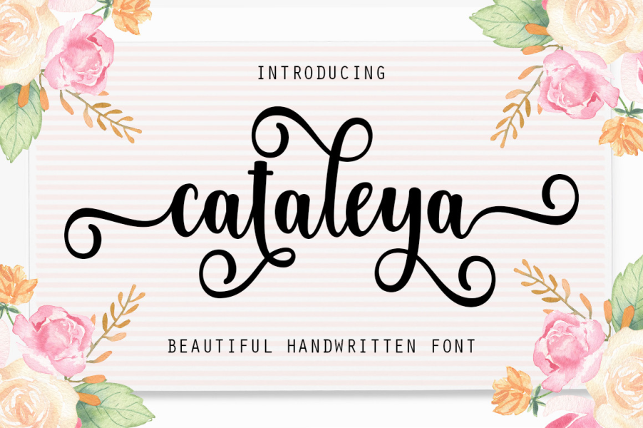 Cataleya Script Font · 1001 Fonts