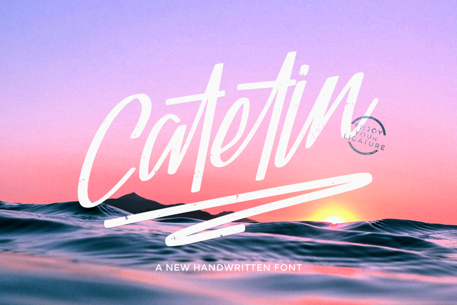 Catetin Font Family · 1001 Fonts