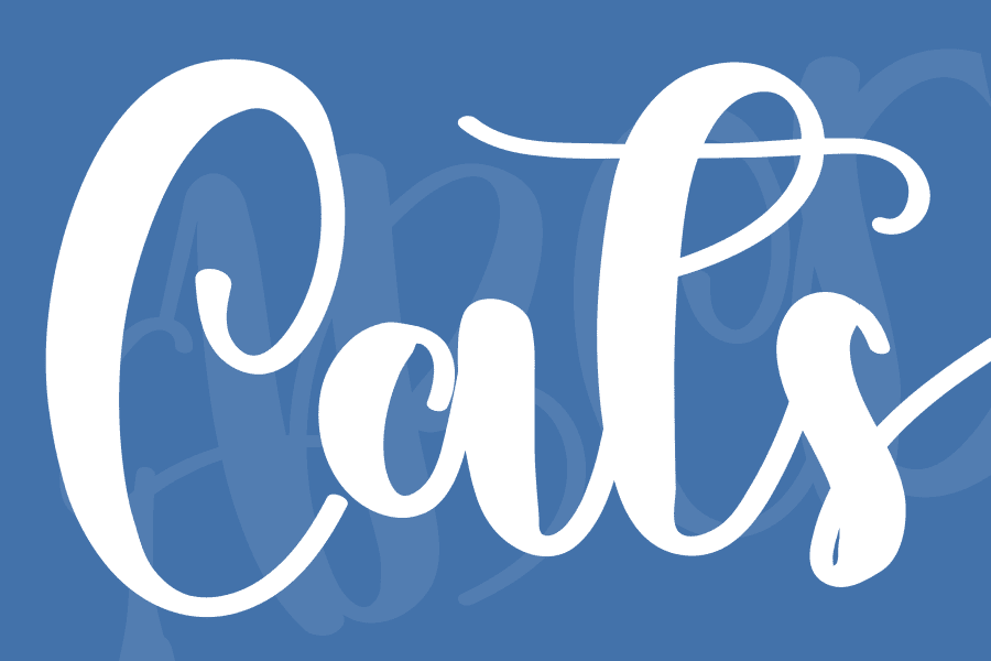 Cats Font · 1001 Fonts