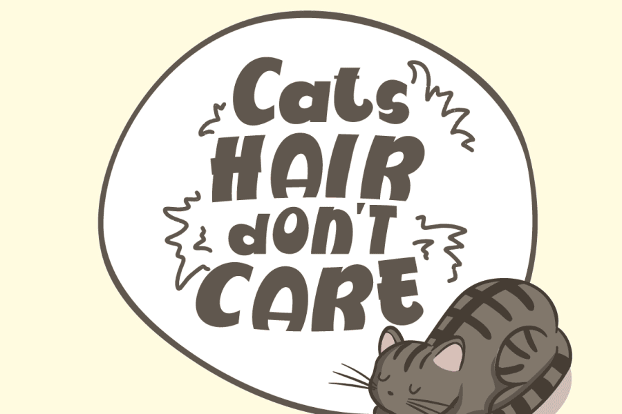 Cats Style Personal Use Only Font · 1001 Fonts