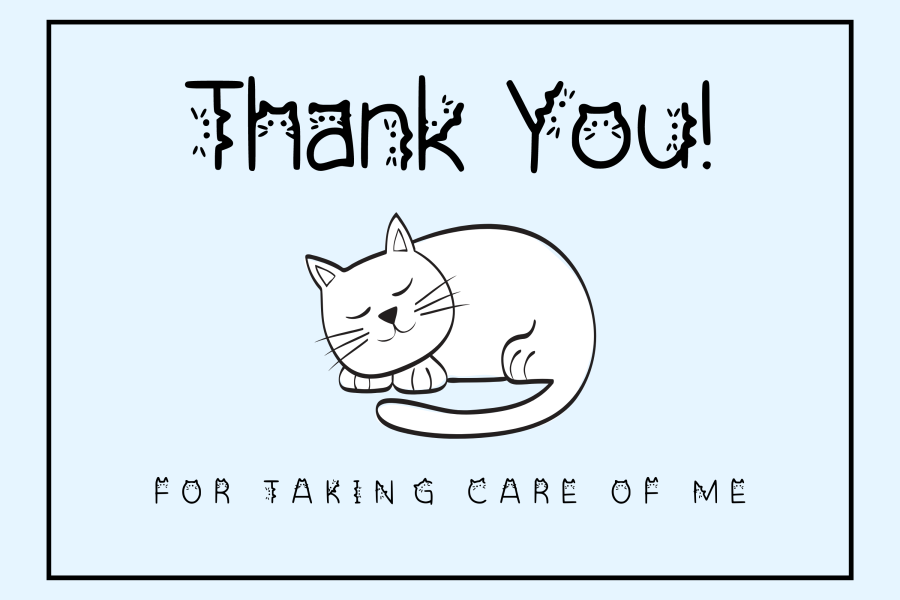 84 Free Cat Fonts · 1001 Fonts