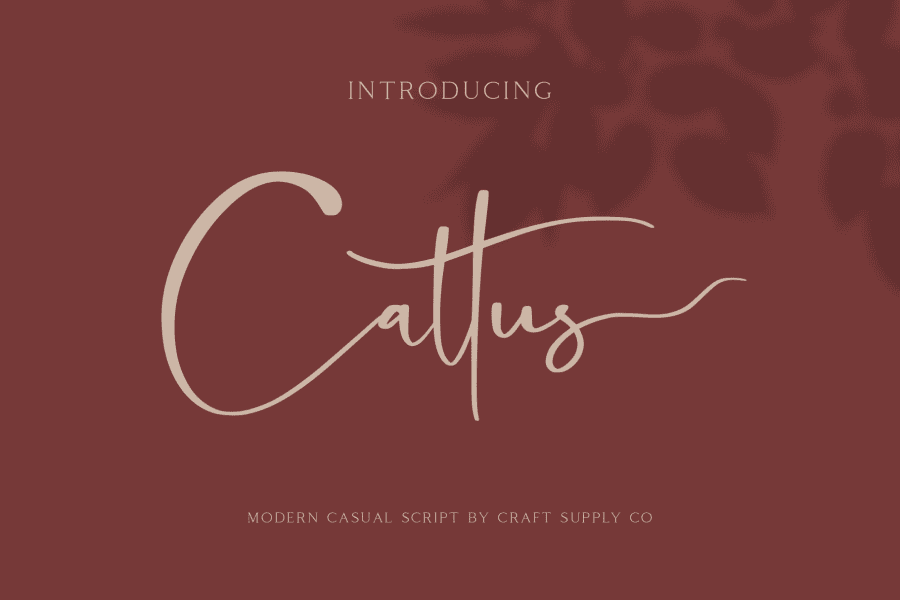 Cattus Font · 1001 Fonts
