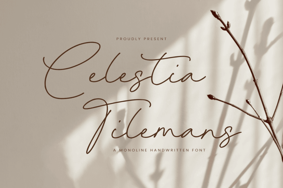 Celestia Tilemans Font · 1001 Fonts