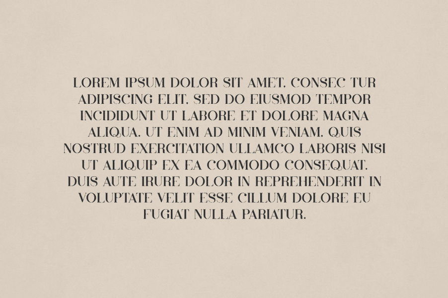 Celia Font · 1001 Fonts