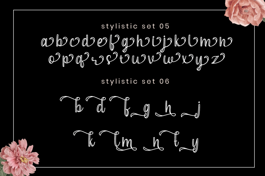 Ceylonia Font · 1001 Fonts