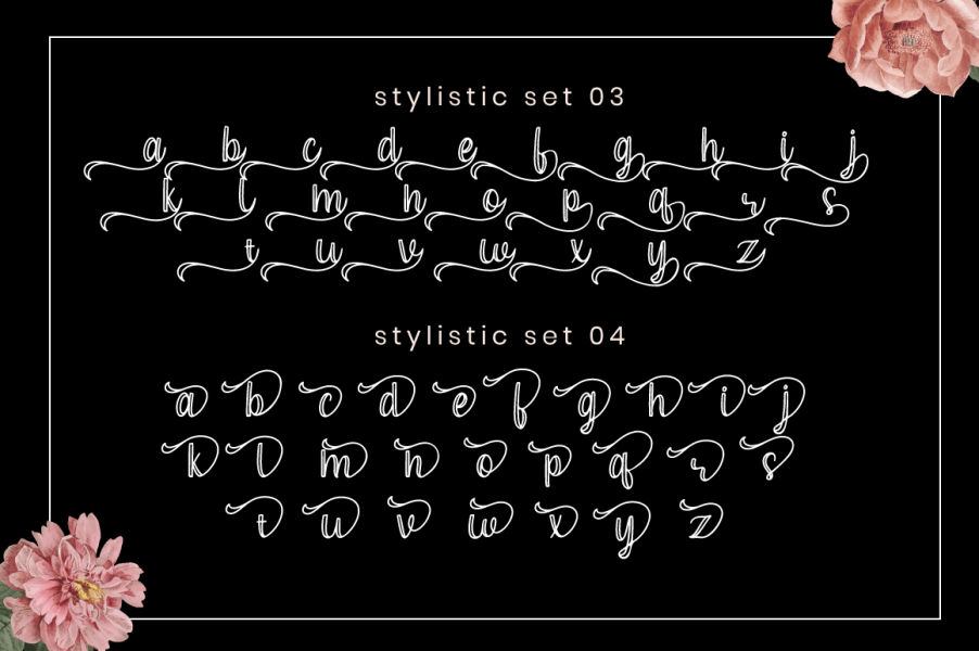 Ceylonia Font · 1001 Fonts