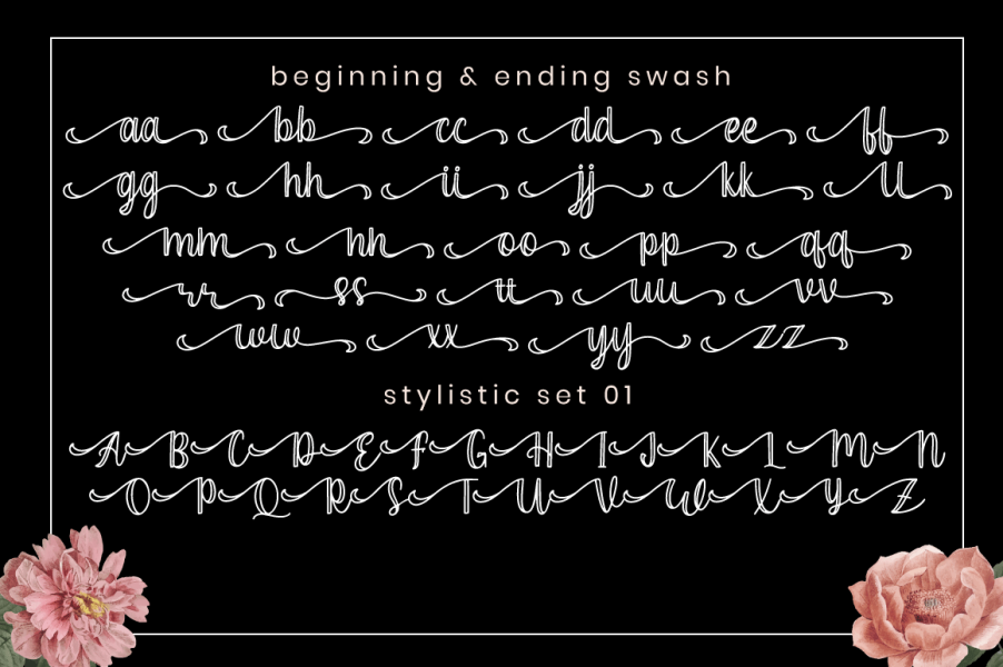 Ceylonia Font · 1001 Fonts