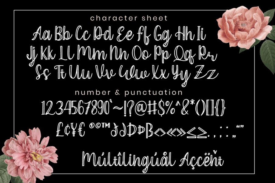 Ceylonia Font · 1001 Fonts
