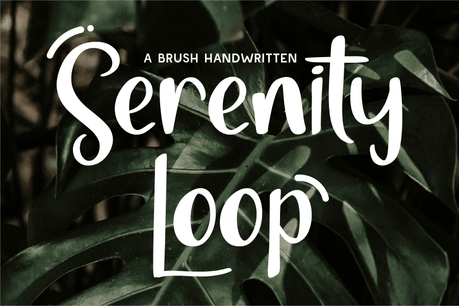 CF Serenity Loop DEMO Font Family · 1001 Fonts