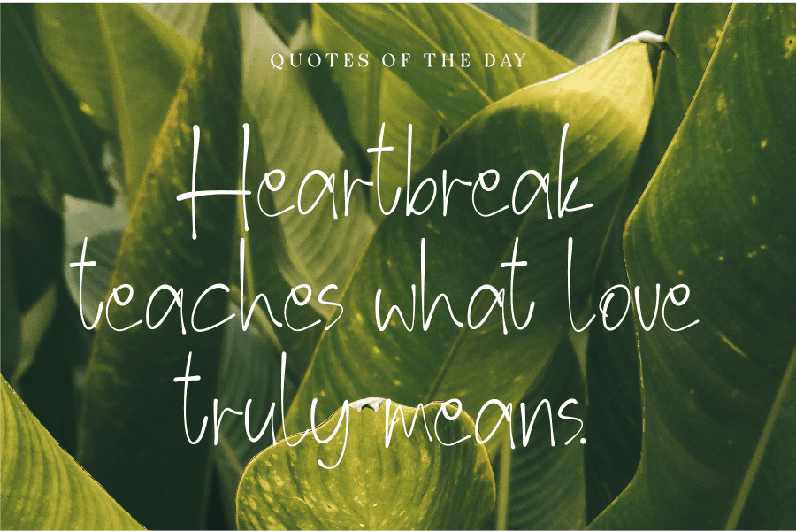 6 Free Product Packaging, Upscale Packaging Fonts · 1001 Fonts