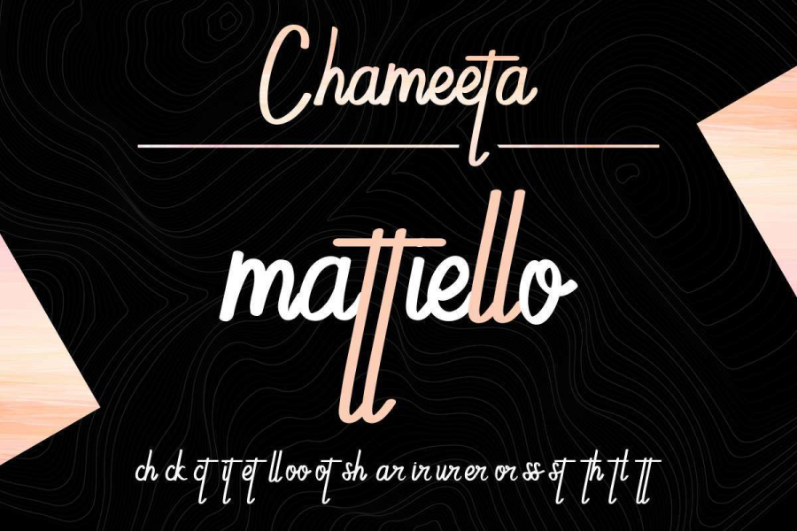 Chameetademo Font · 1001 Fonts