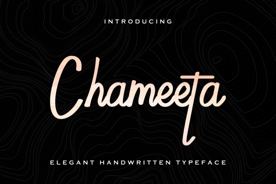 Chameetademo Font · 1001 Fonts