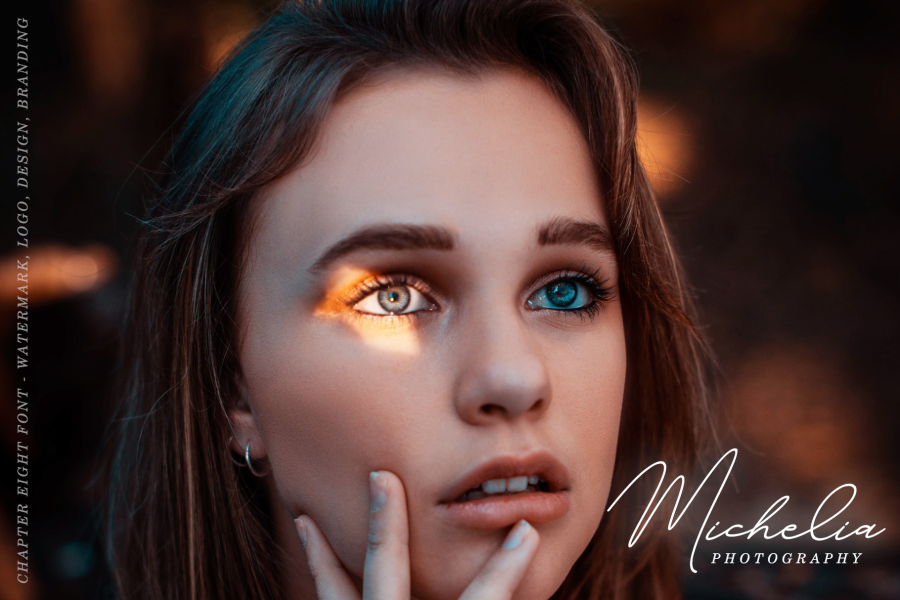 Chapter Eight Font Family · 1001 Fonts