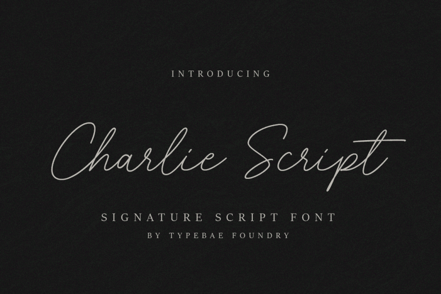 Charlie Script Font · 1001 Fonts