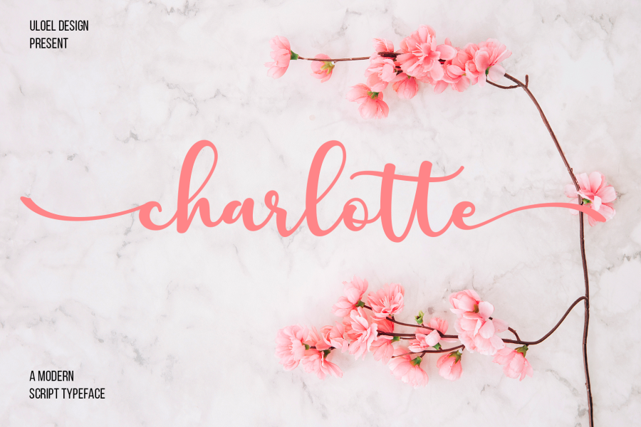 charlotte Font · 1001 Fonts
