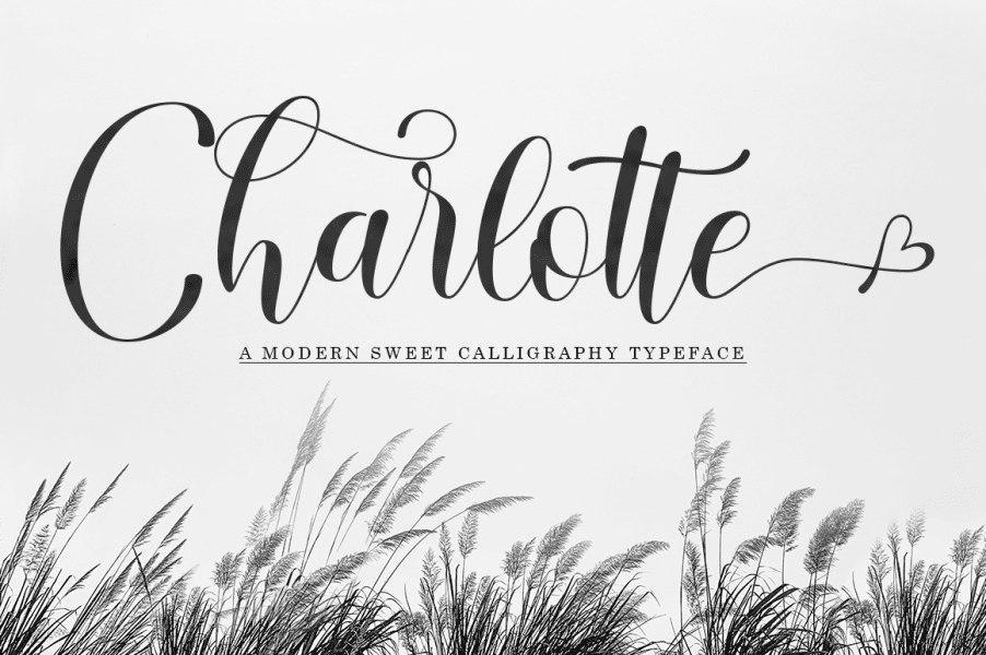 Charlotte Script Font · 1001 Fonts