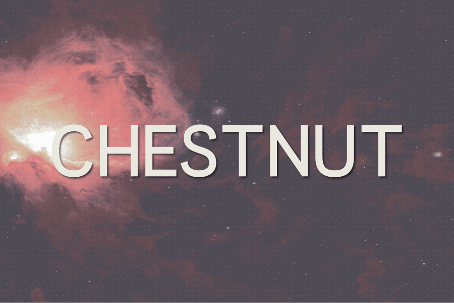 Chestnut Font · 1001 Fonts