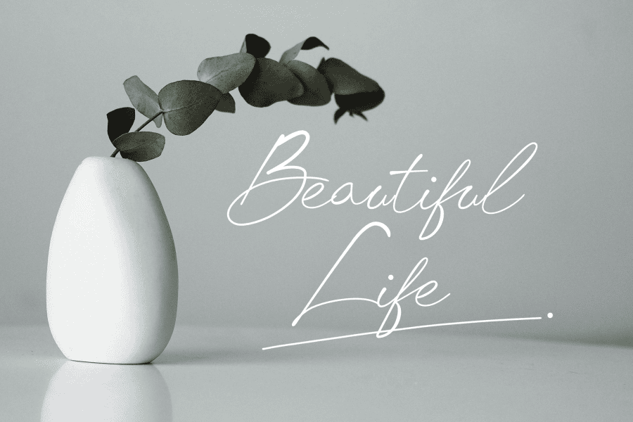 Chic Budapest Font · 1001 Fonts