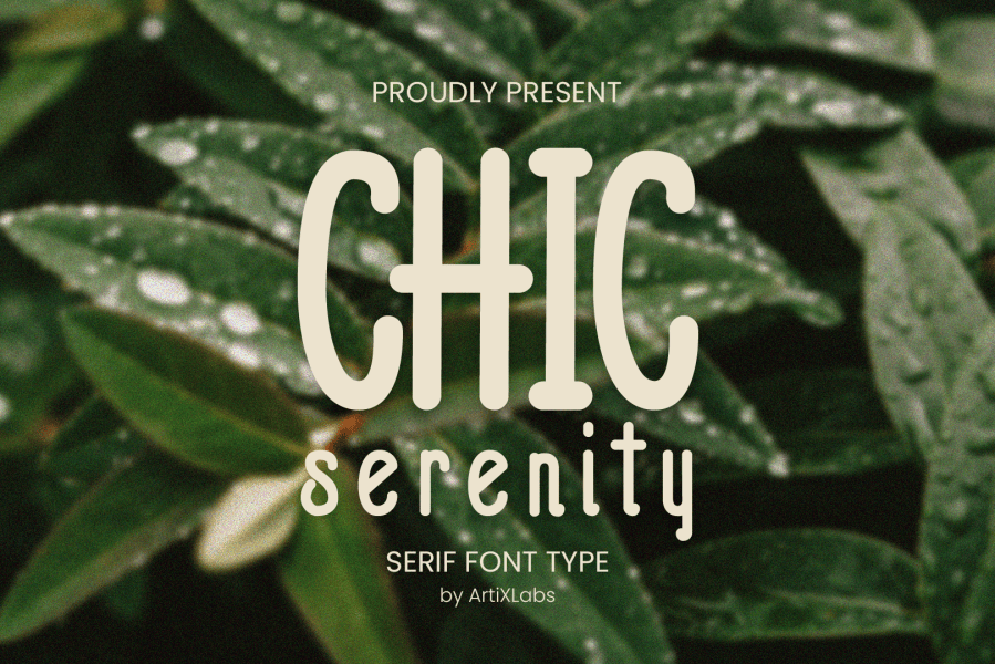 Chic Serenity DEMO Font · 1001 Fonts