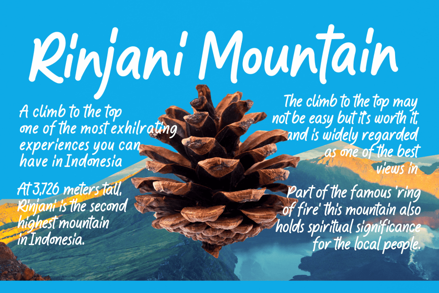 Chillin Notez Font · 1001 Fonts