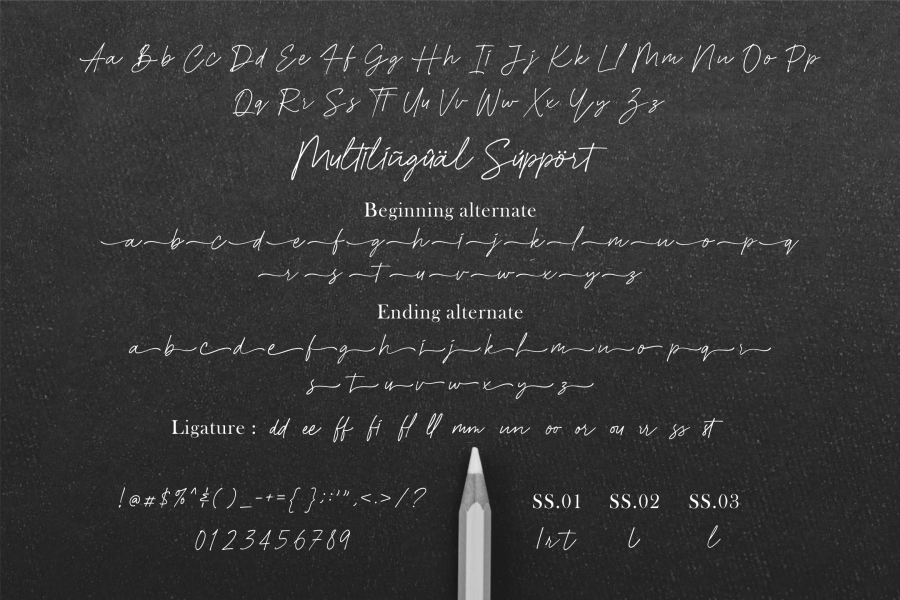 Christnolan Demo Font · 1001 Fonts