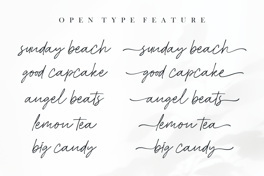 Christnolan Demo Font · 1001 Fonts