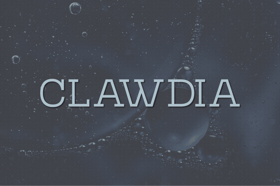 Clawdia Font · 1001 Fonts