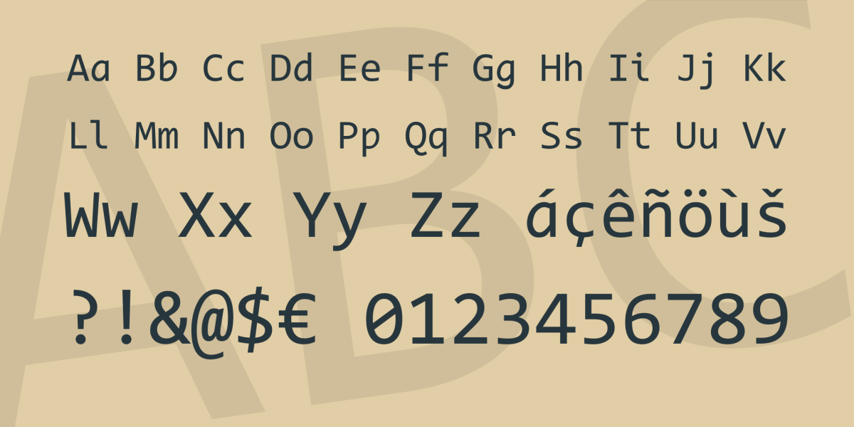 New Roman Font