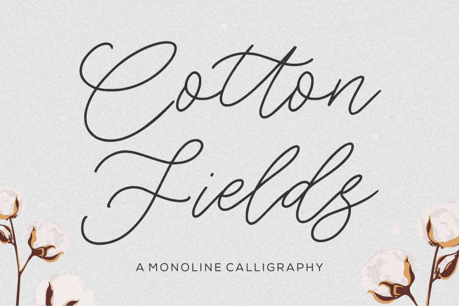 Cotton Fields Font · 1001 Fonts