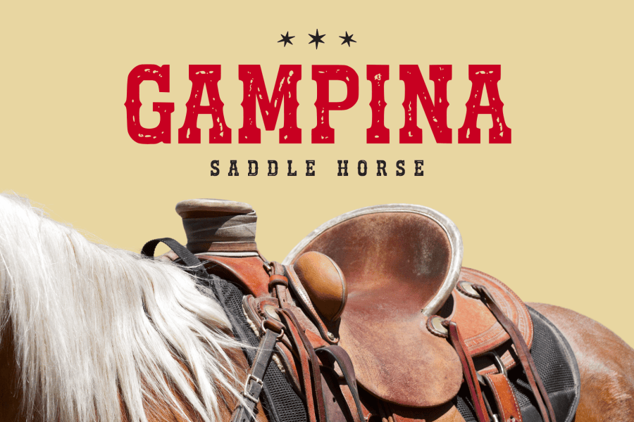 Cowboy Outlaw Font Family · 1001 Fonts