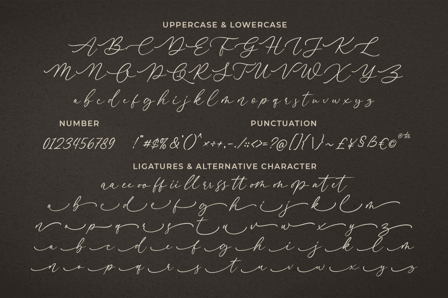 Crafter Signature Serif Font · 1001 Fonts